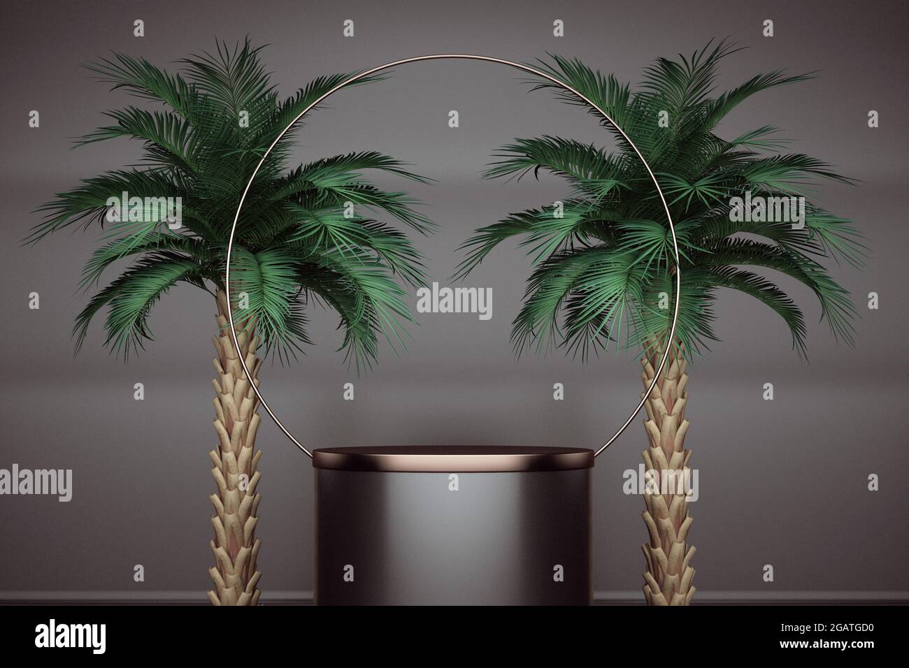 black cylindrical podium with two palm trees. 3d rendering Stock Photo ...