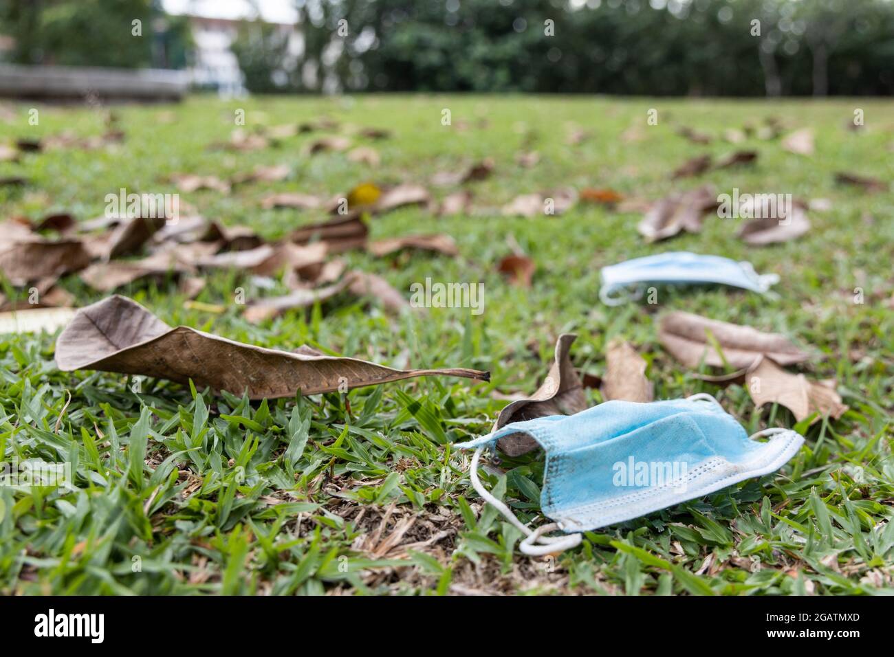 Litter of used surgical face mask with high usage due to covid pandemic ...