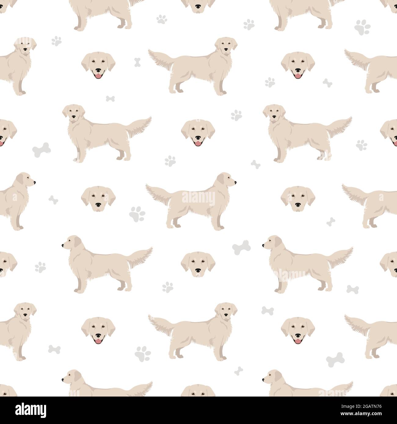 Golden retriever dogs in different poses and coat colors seamless ...