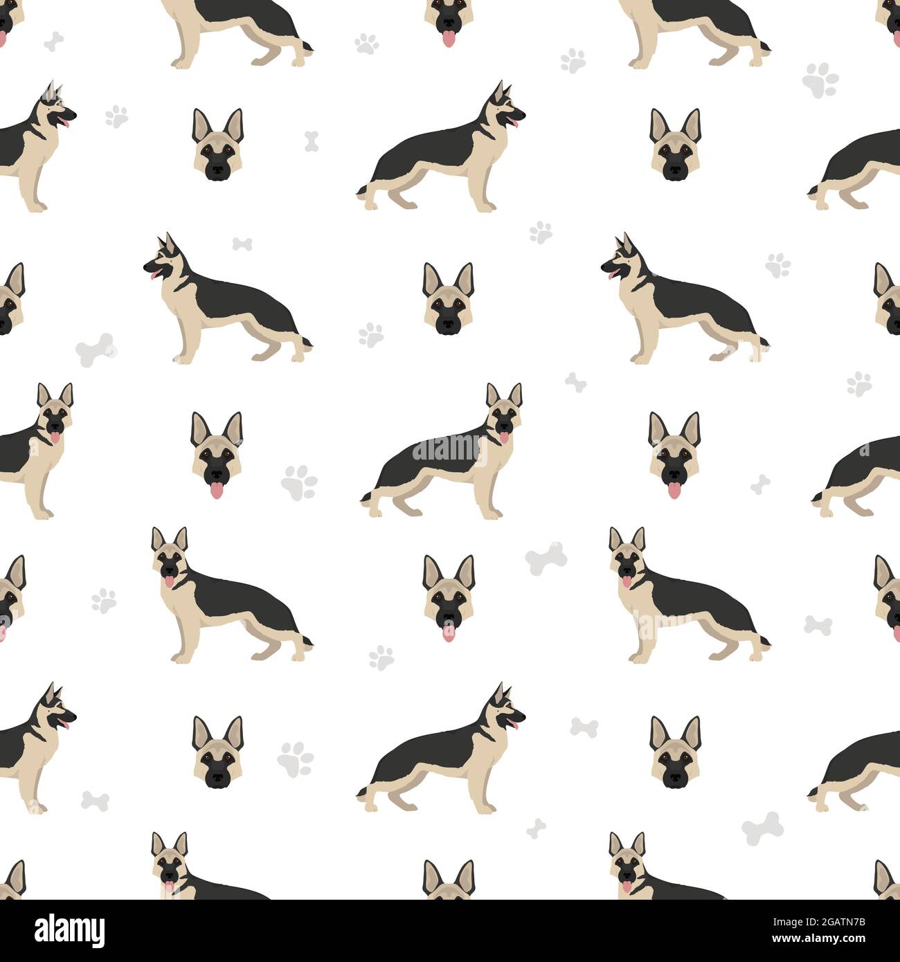 German shepherd dog in different poses and coat colors seamless pattern ...