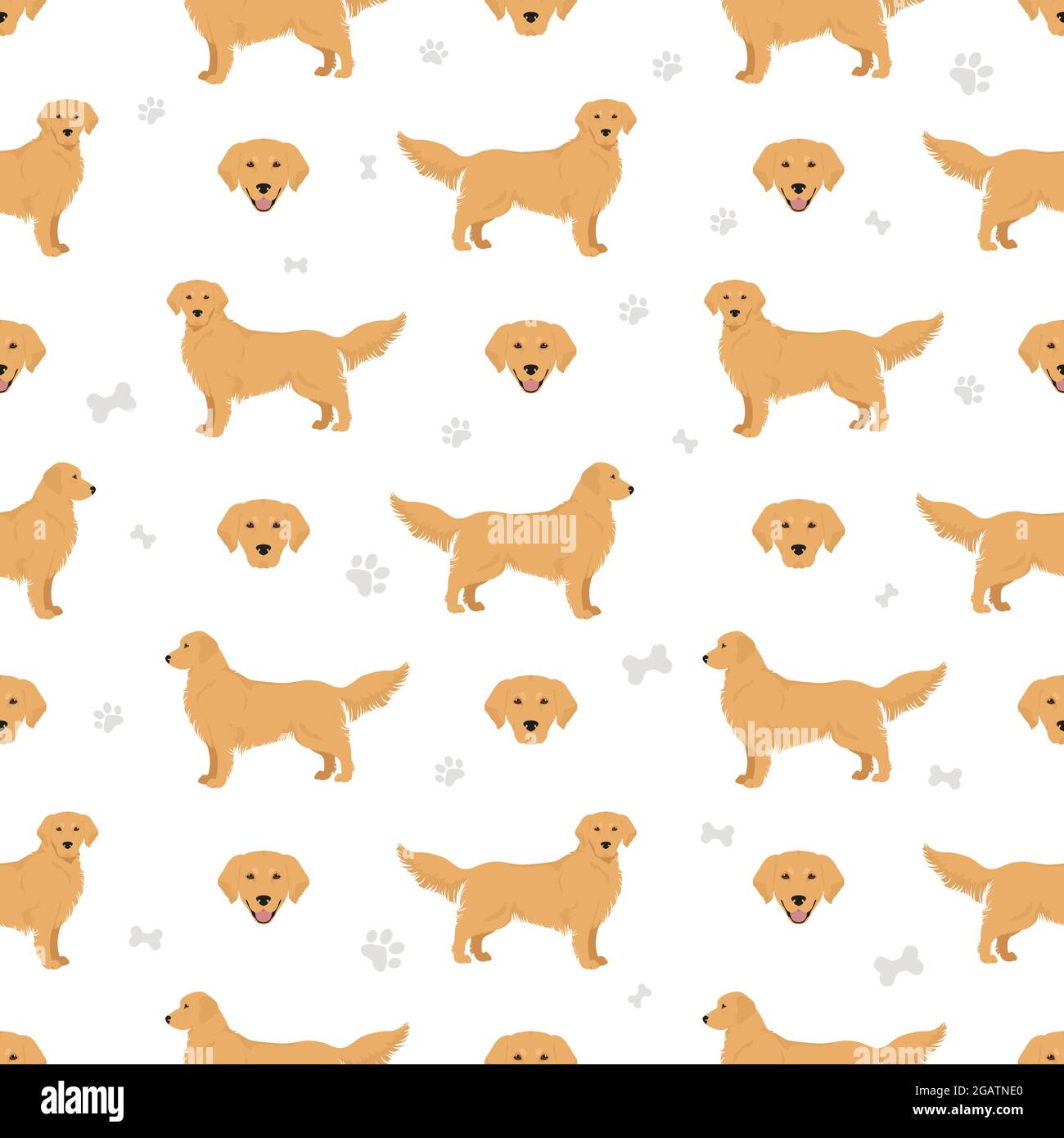 Golden retriever dogs in different poses and coat colors seamless ...