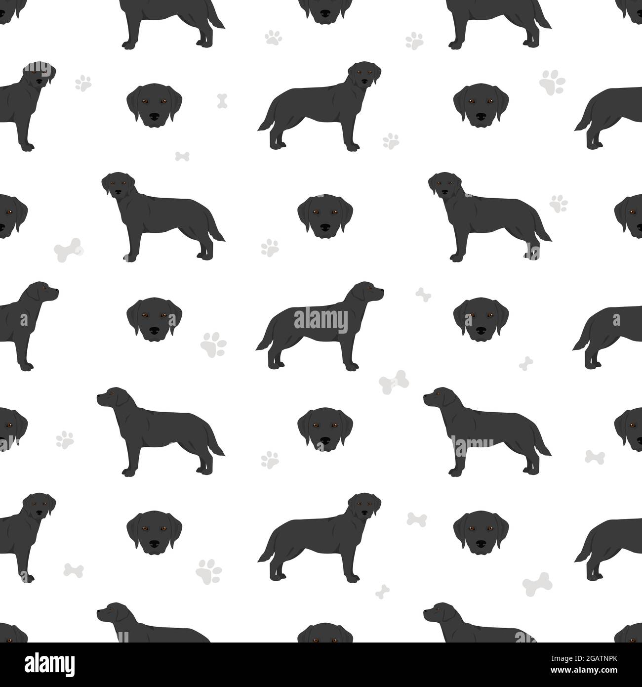 Labrador retriever dogs in different poses and coat colors seamless ...