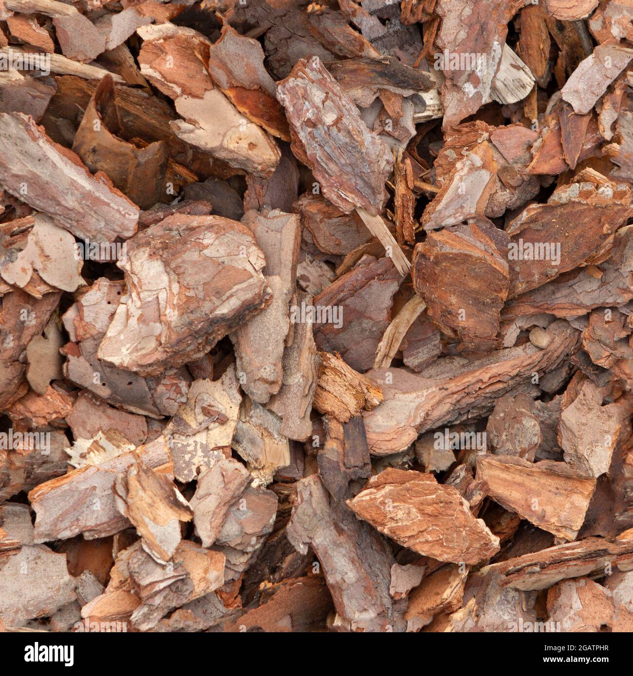 Pine chips close up. Seamless texture of pieces of pine bark Stock ...