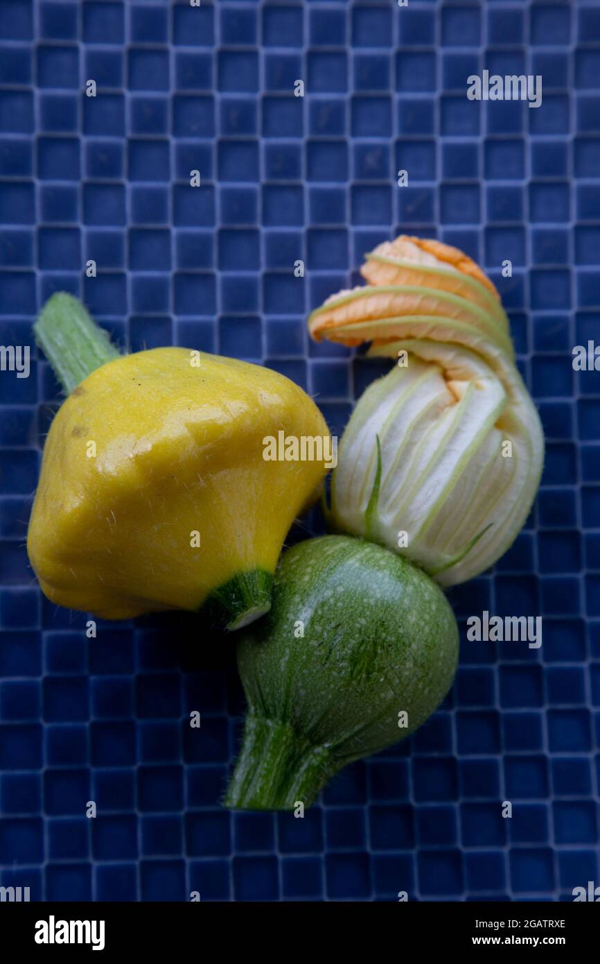 Summer squash presented on a blue platter. The varieties are patty pan ...