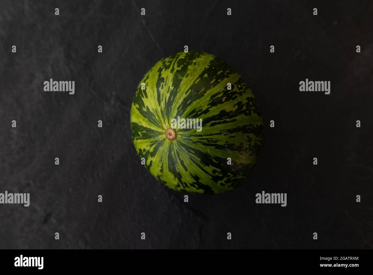 Patty Pan Squash, variety Green Disc, presented on a black background ...