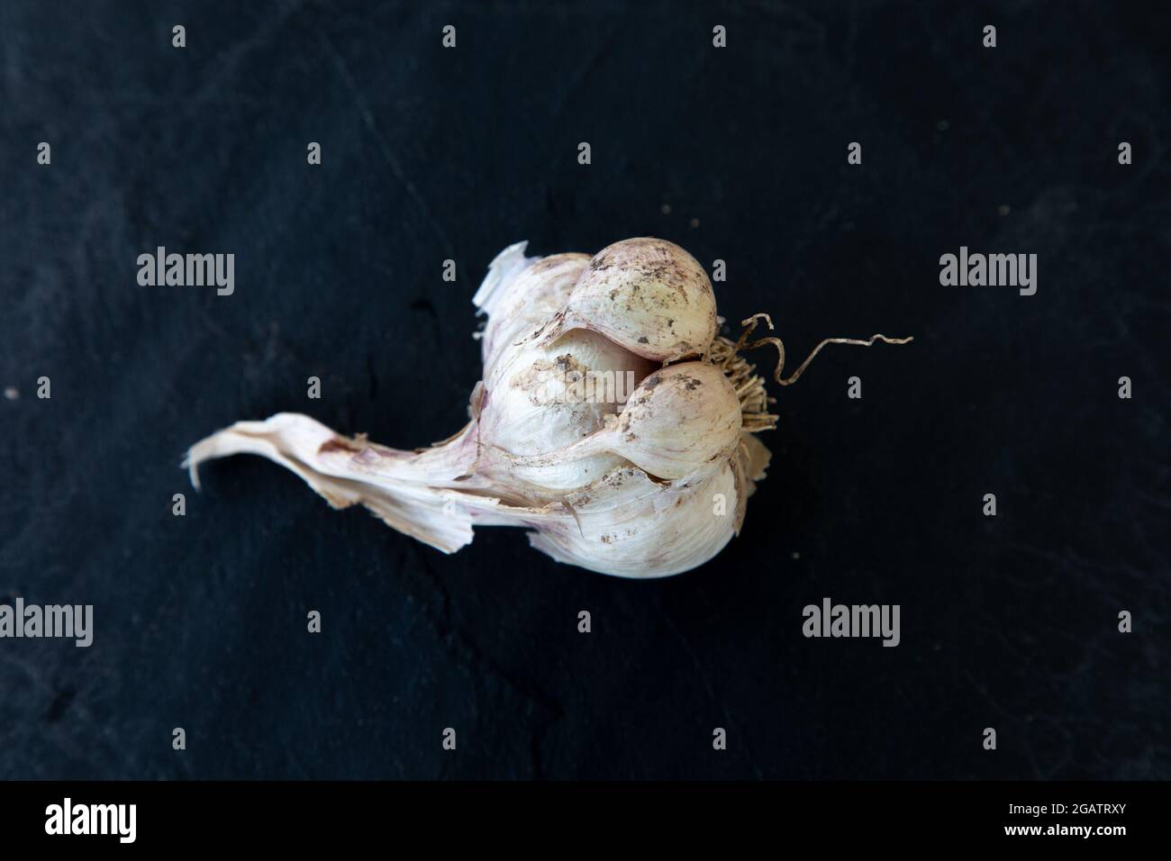 Vampire neck hi-res stock photography and images - Alamy
