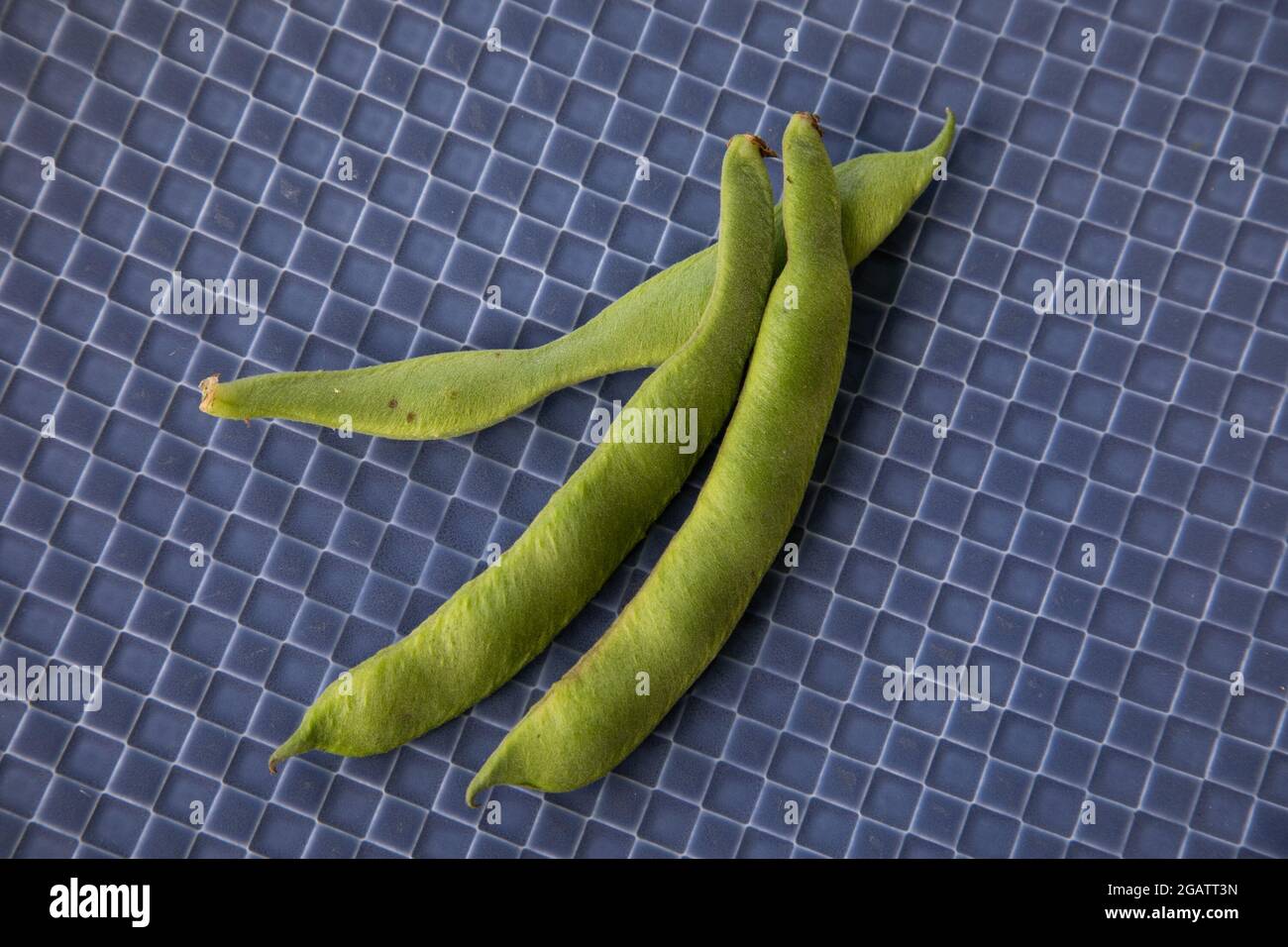 Dwarf runner beans, Variety Hestia Stock Photo - Alamy