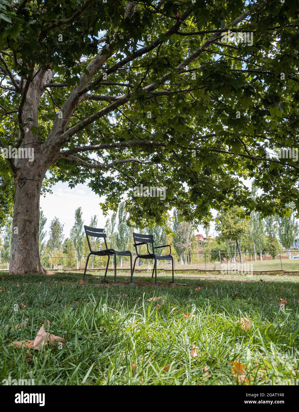 Two chairs under a tree hi-res stock photography and images - Alamy