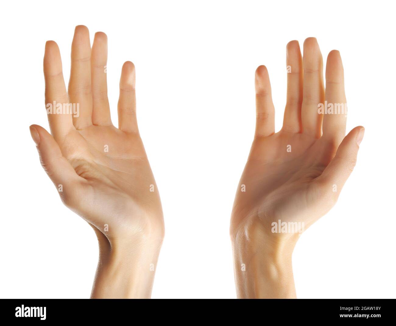 Human hands isolated on white background Stock Photo - Alamy