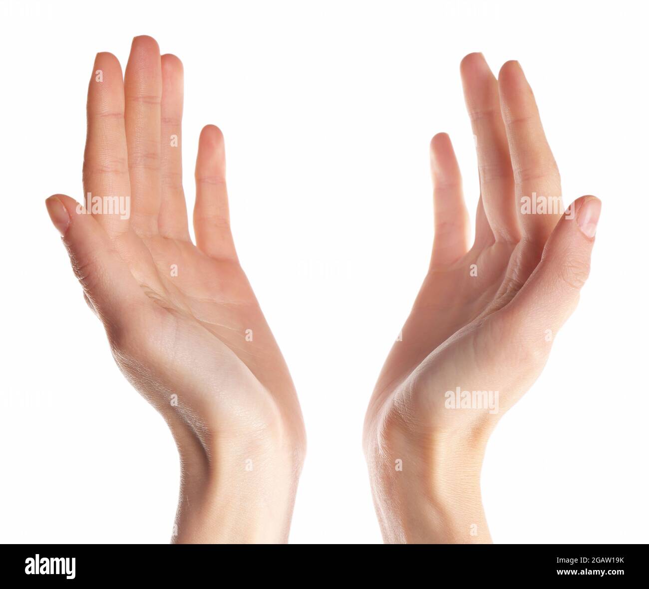Human hands isolated on white background Stock Photo - Alamy