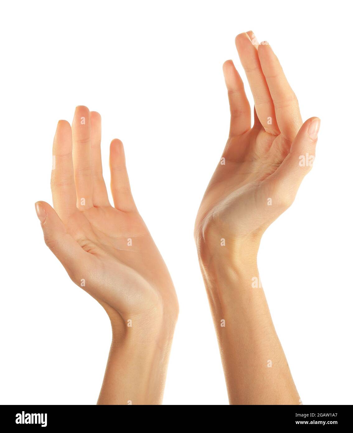 Human hands isolated on white background Stock Photo - Alamy