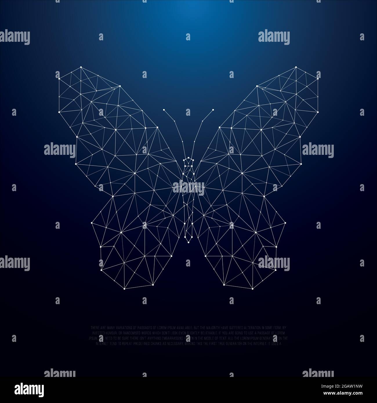 Geometric Butterfly Designs