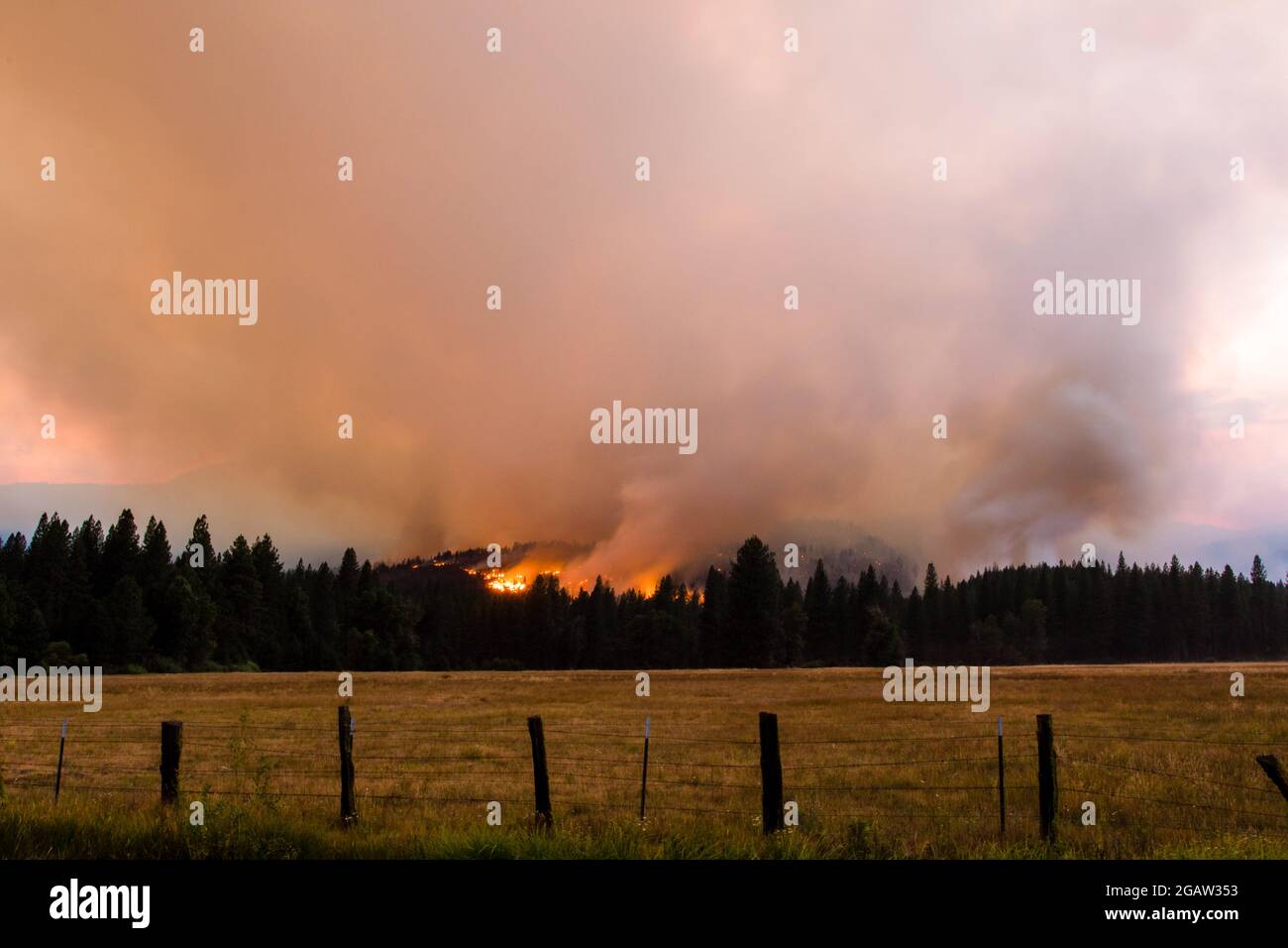 The Dixie fire continues to grow as the sunsets. The Dixie fire has ...