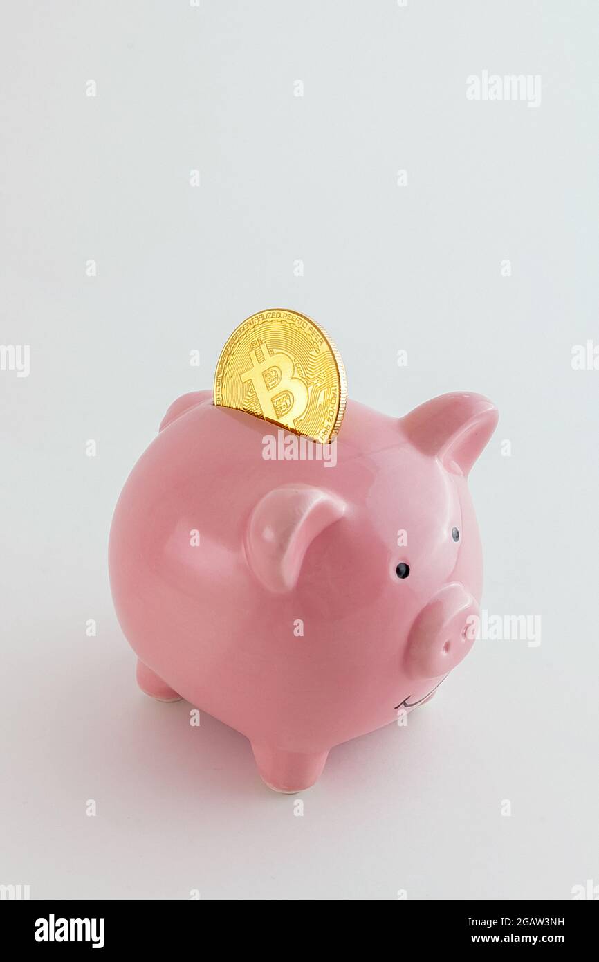 Piggy bank with bitcoin coins on isolated white background Stock Photo ...