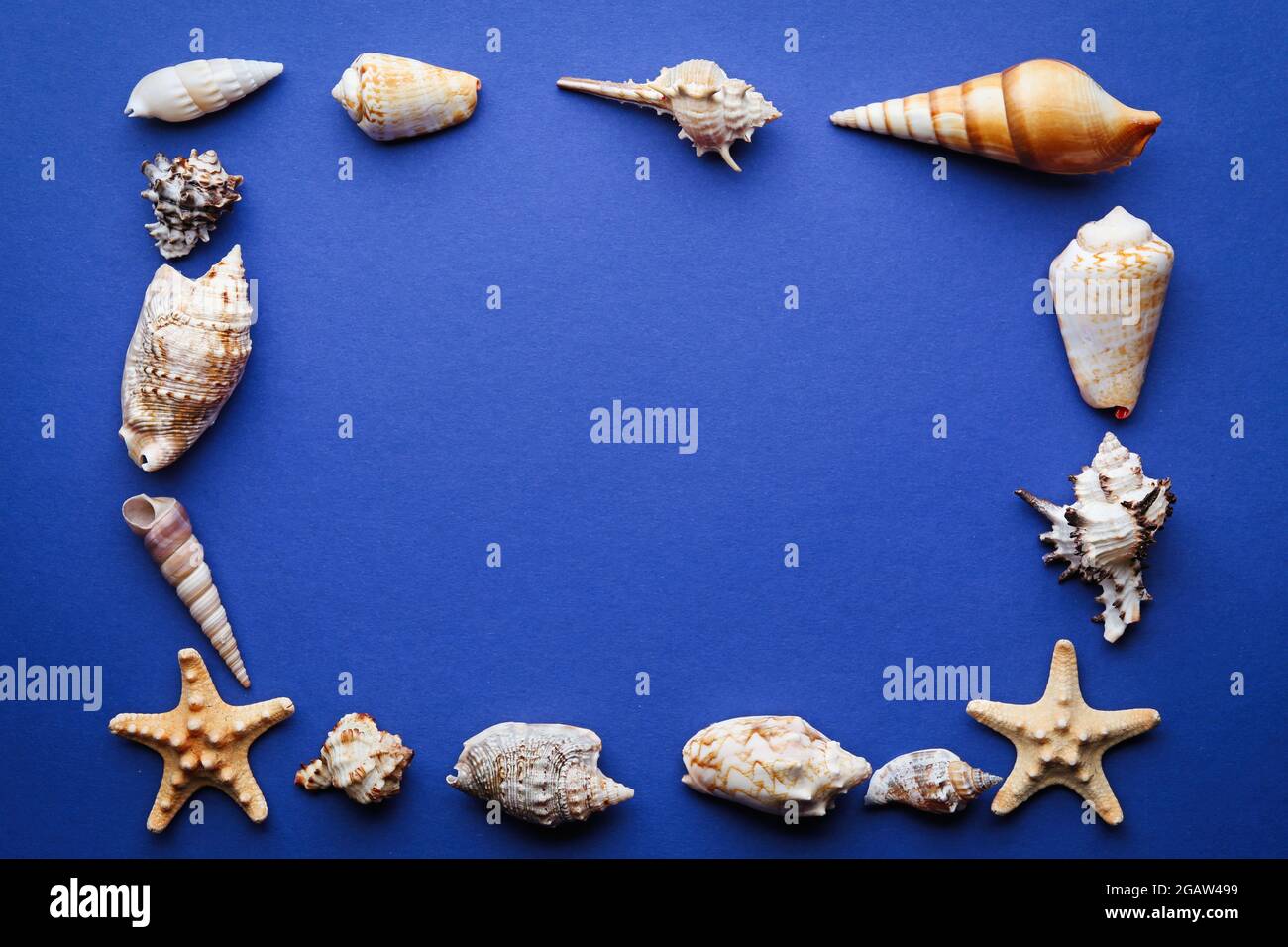 Frame shaped seashells on dark blue background Stock Photo - Alamy