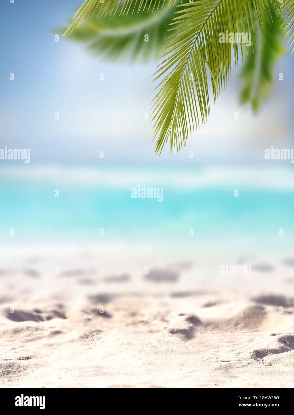 Sand with blurred Palm and tropical beach bokeh background Stock Photo ...