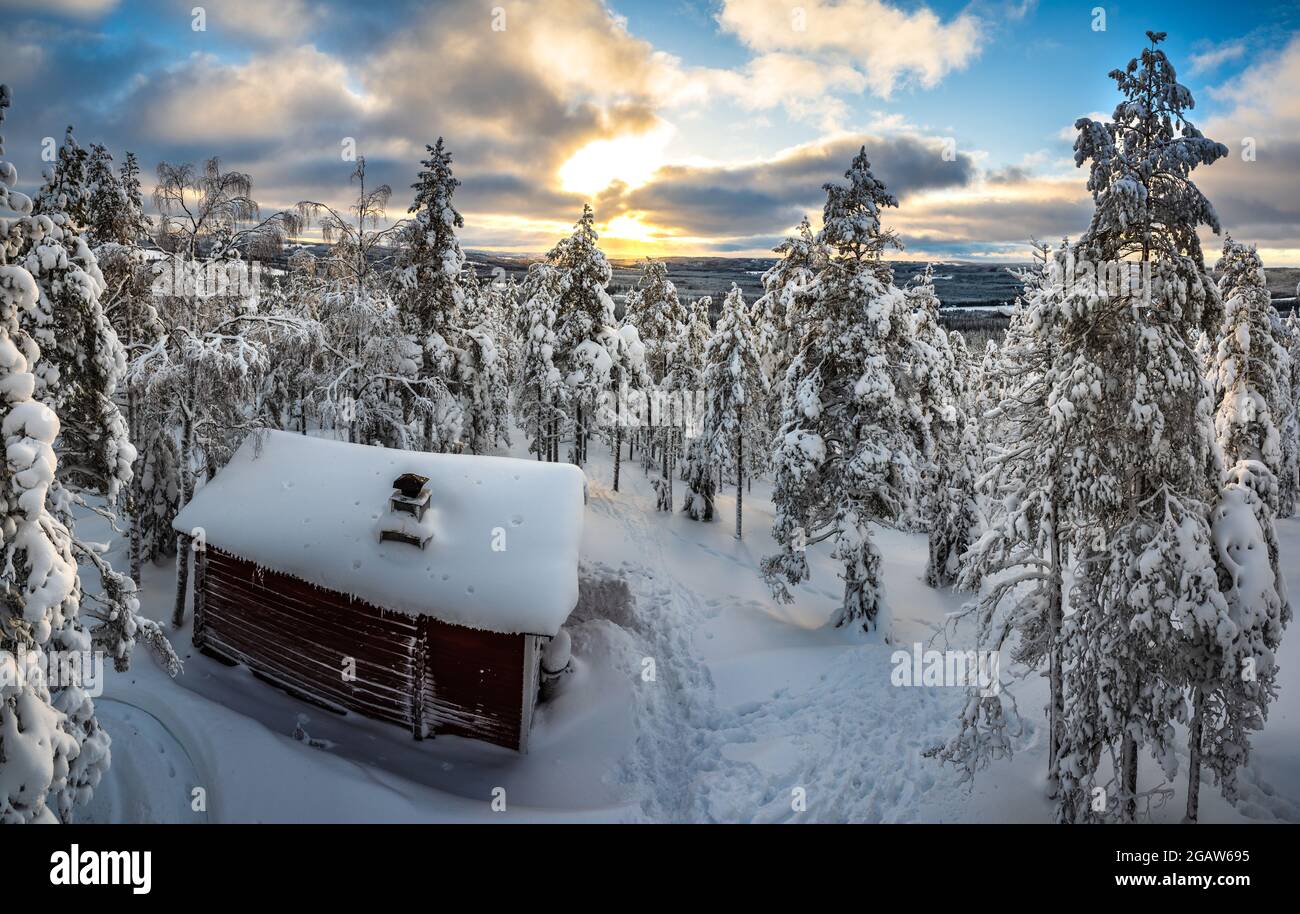 Winter cloudy panoramic landscape with forest, trees covered snow, a ...