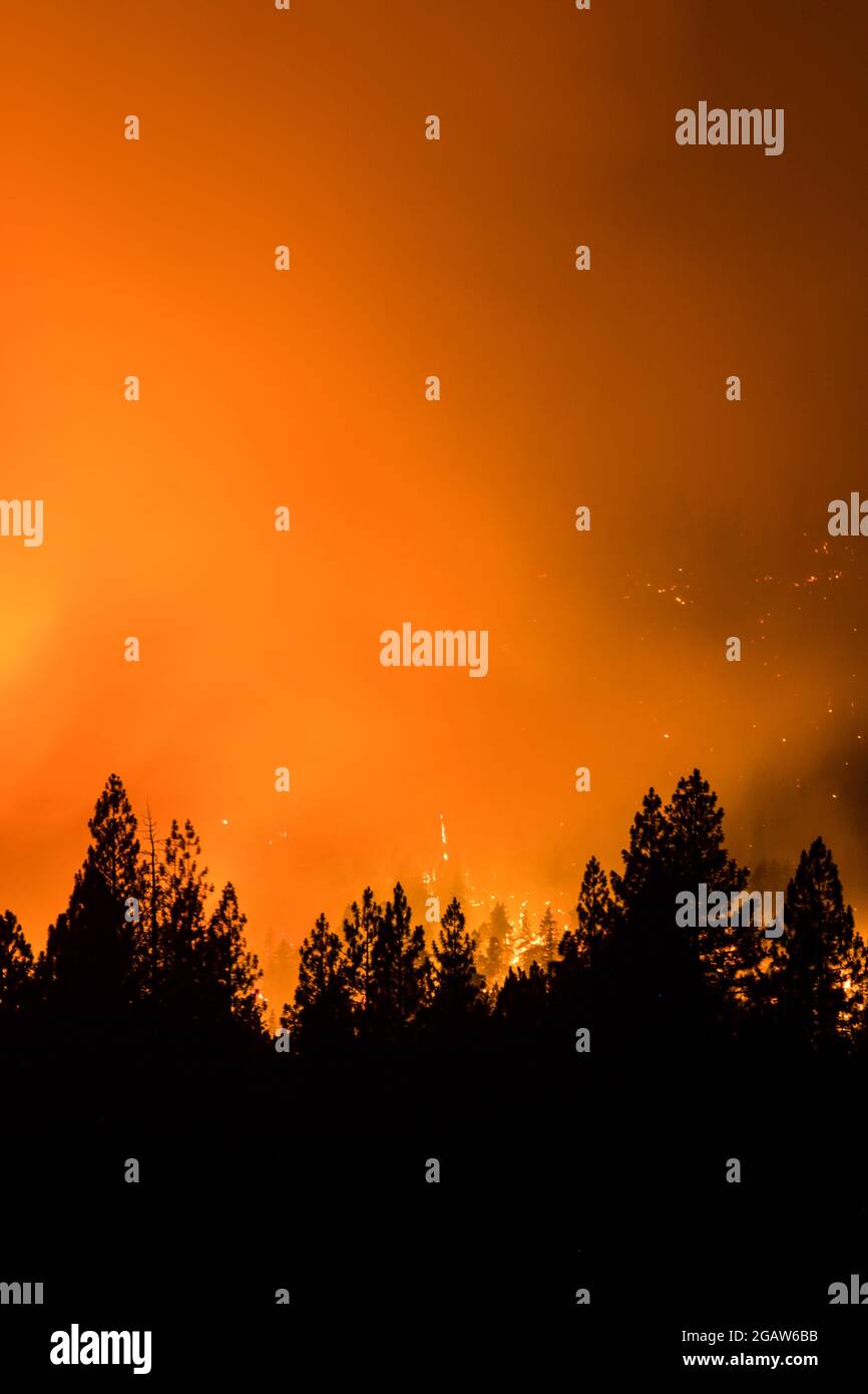 United States. 31st July, 2021. The Dixie fire burns through the night ...