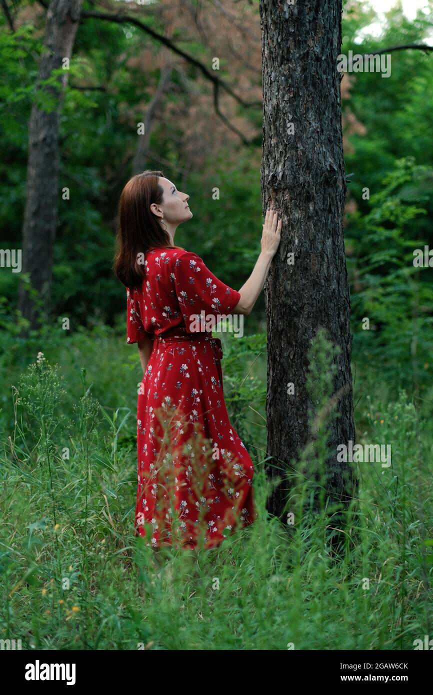 Save and Plant Trees, Save Earth and Nature, Stand For Trees, Save ...