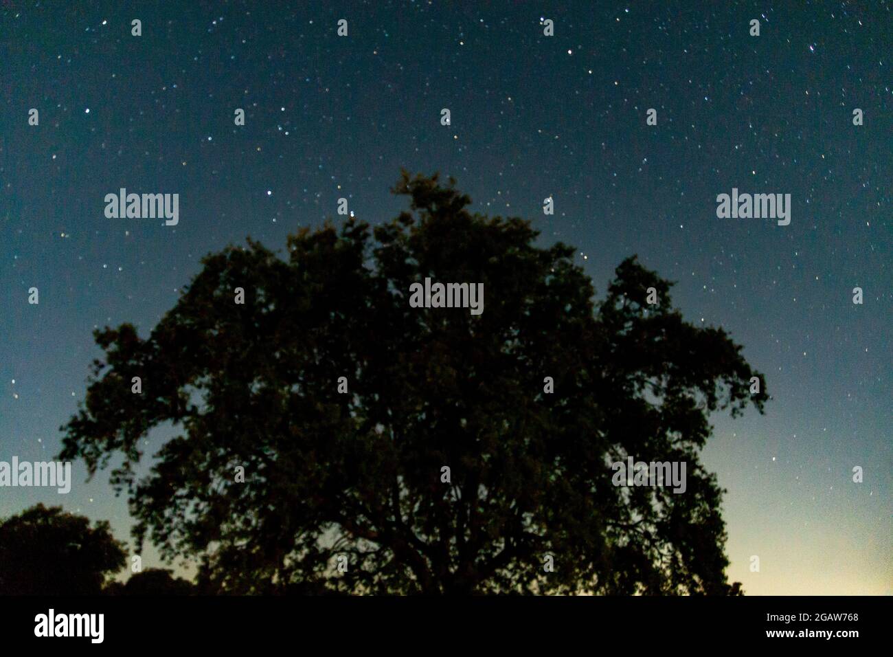 Star animation hi-res stock photography and images - Alamy