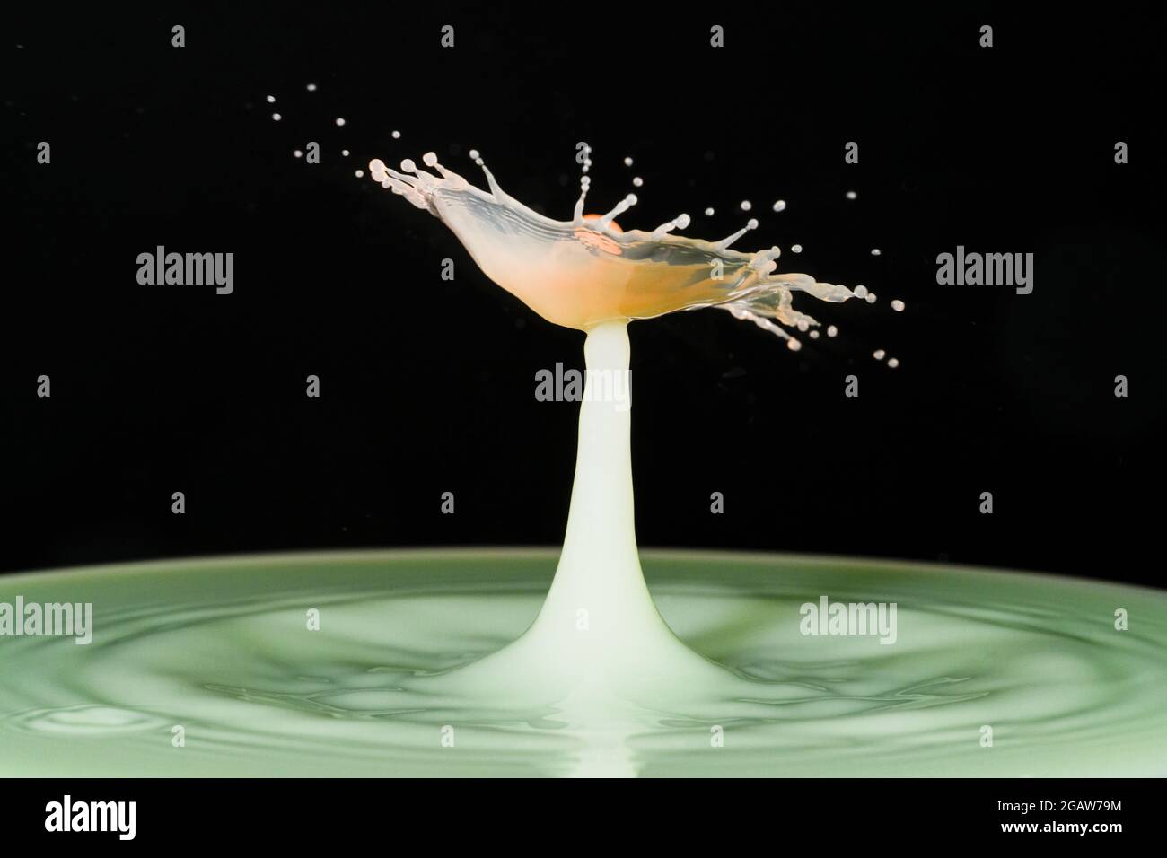 Close-up photograph of two water droplets colliding making an unusual ...