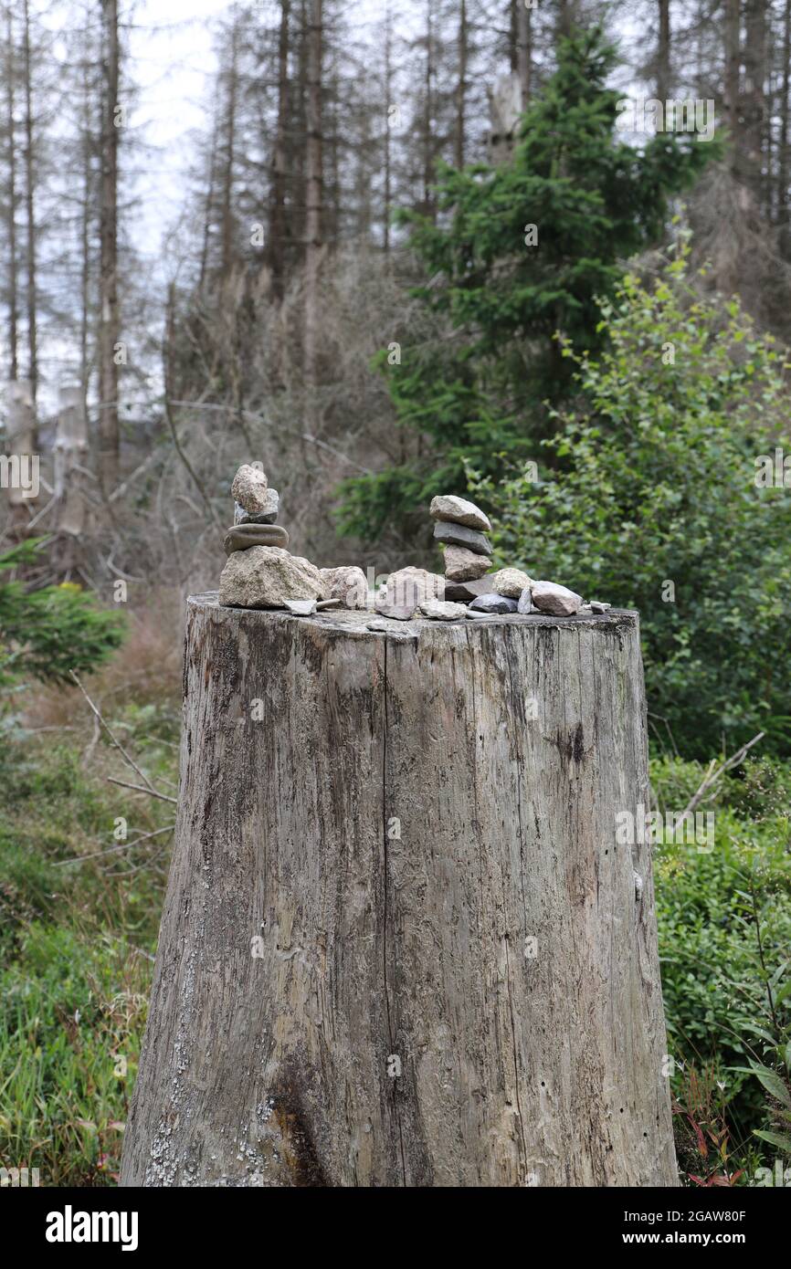 Stump tower hi-res stock photography and images - Alamy