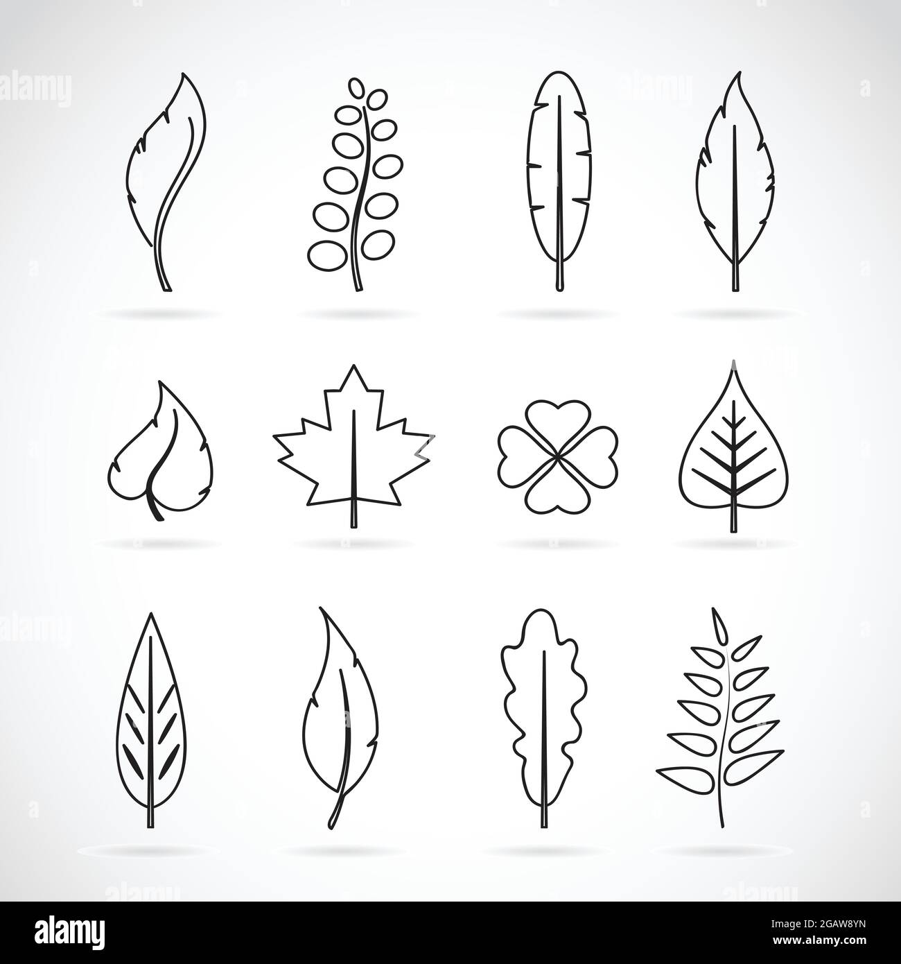 Vector leaves icon set on white background. Easy editable layered ...