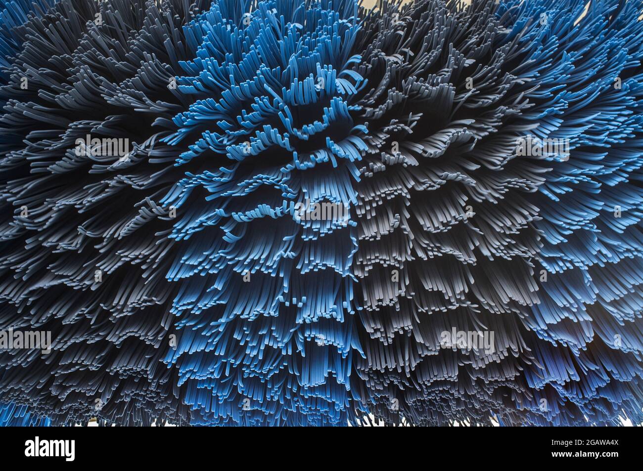 Car wash rollers hi-res stock photography and images - Alamy