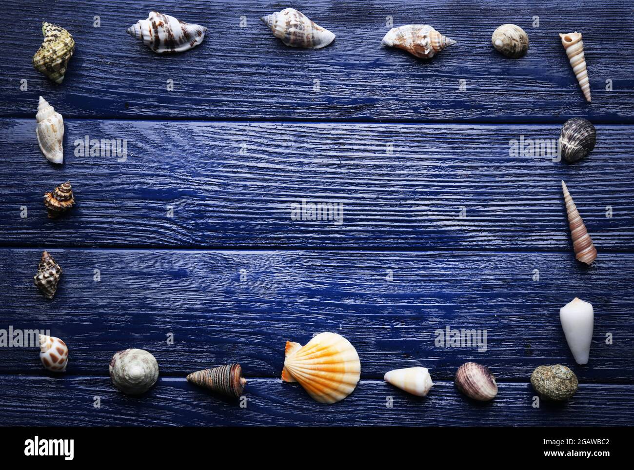 Seashell frame on dark blue wooden background Stock Photo - Alamy