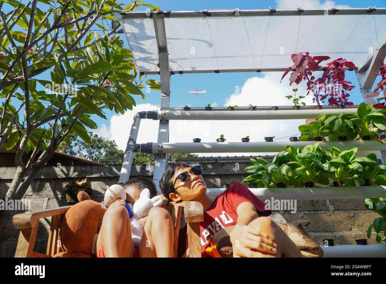 Sunbathing yard hi-res stock photography and images - Alamy