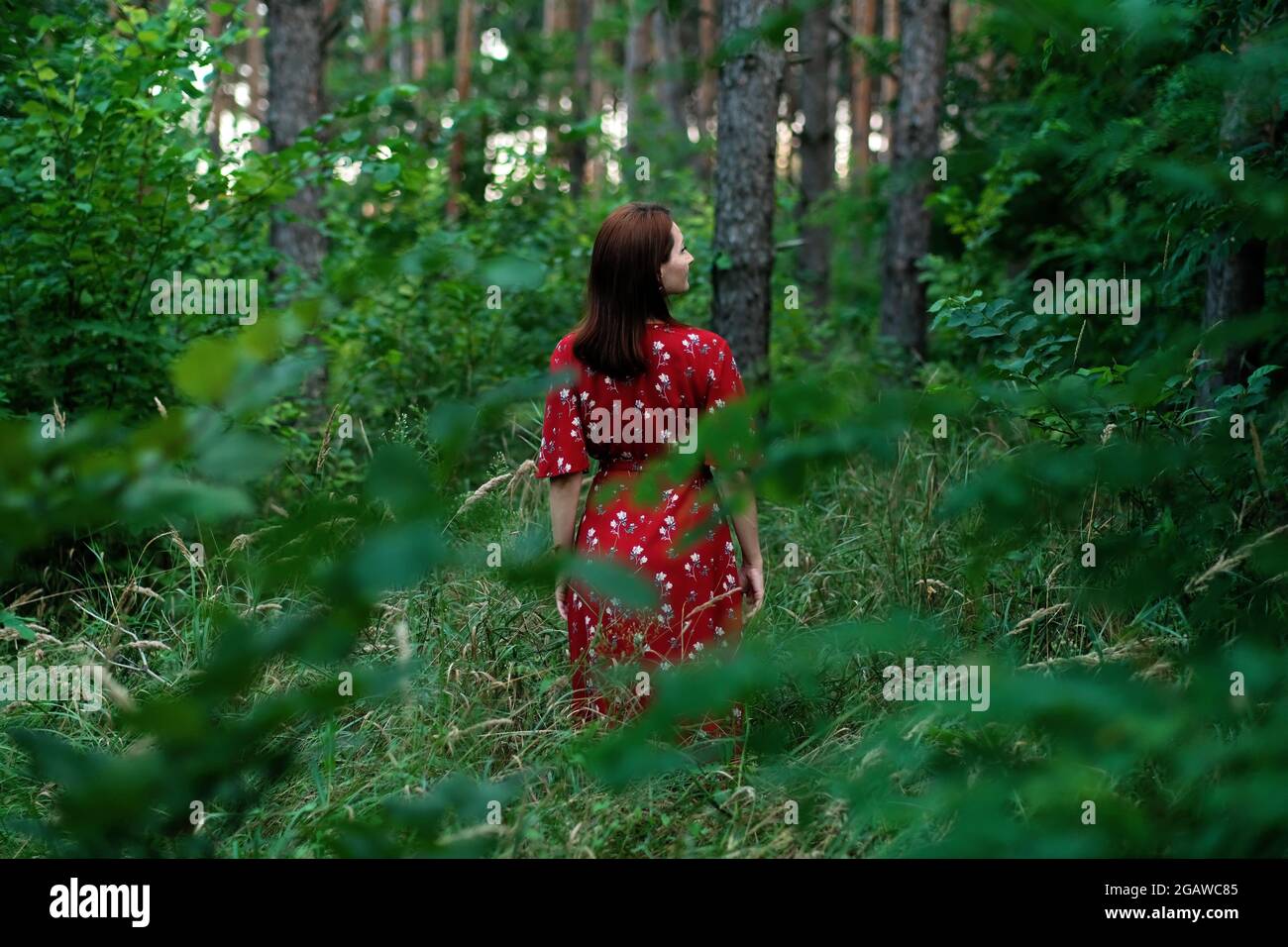 Save and Plant Trees, Save Earth and Nature, Stand For Trees, Save ...