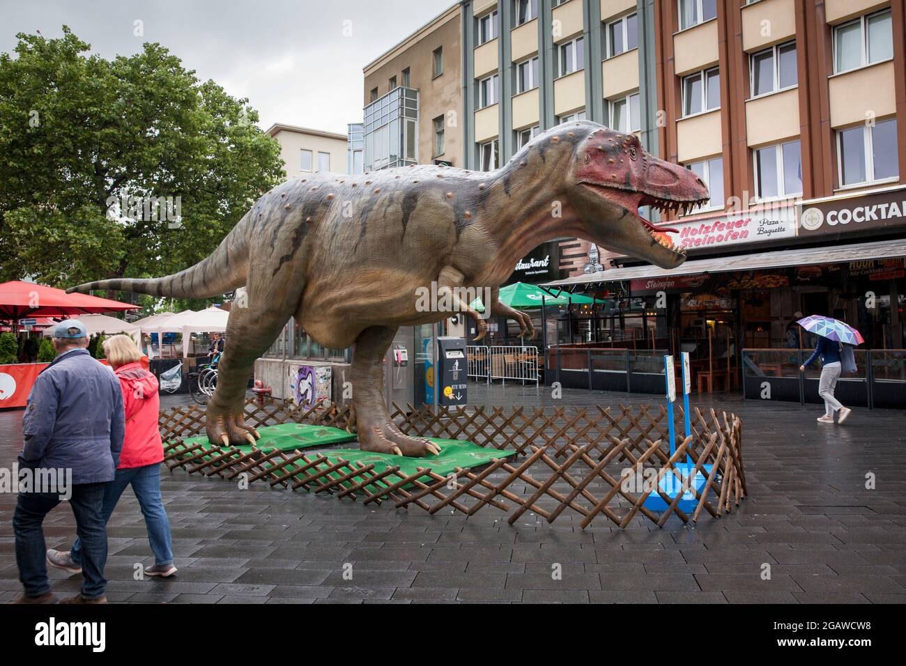 Tyrannosaurus rex modell hi-res stock photography and images - Alamy