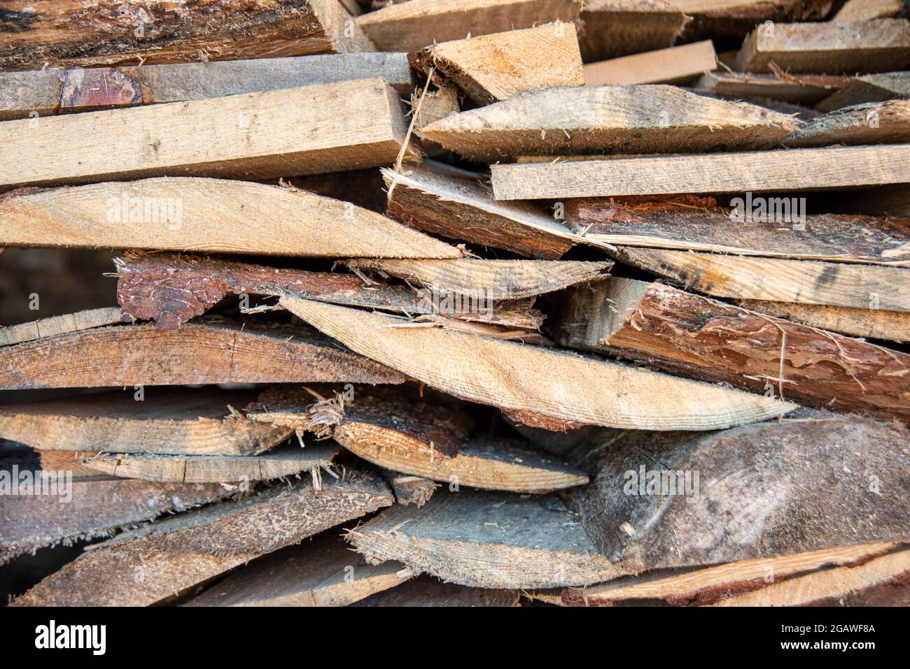 wooden slices log closeup detail Stock Photo - Alamy