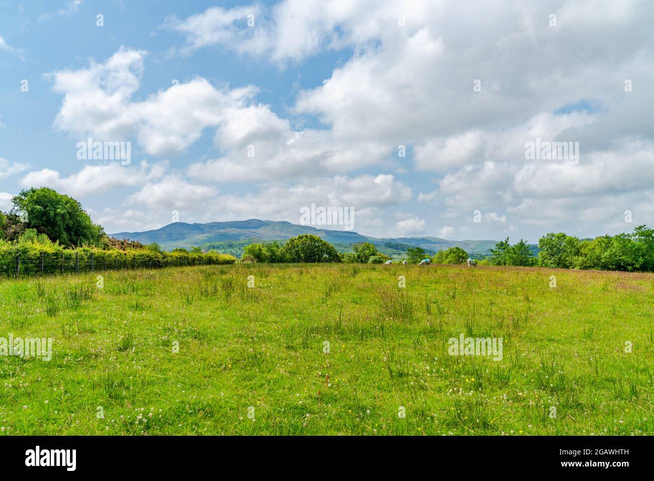 Rural Welsh landscape in Snowdonia region in northwest Wales Stock ...