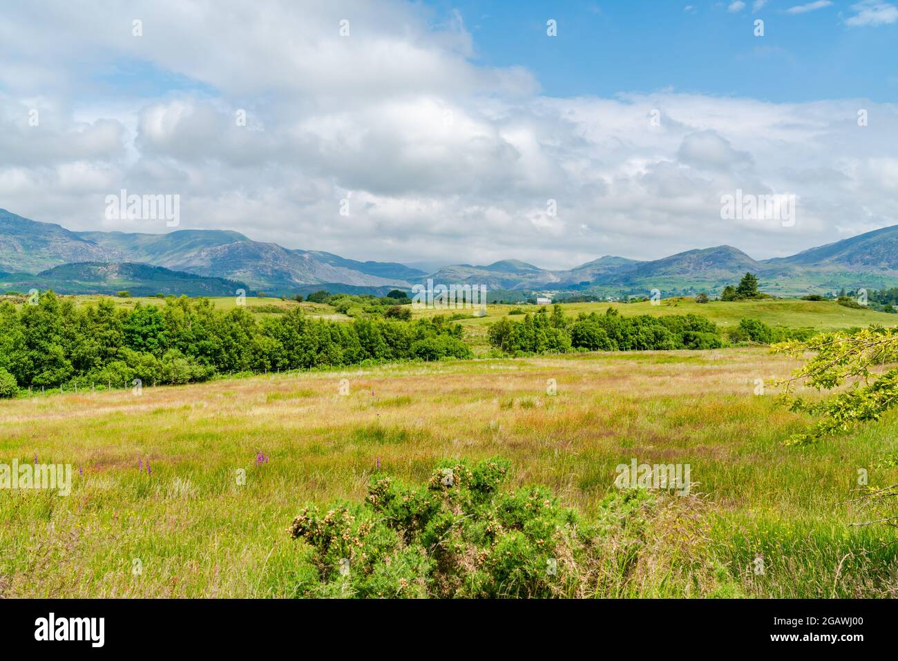 Rural Welsh landscape in Snowdonia region in northwest Wales Stock ...