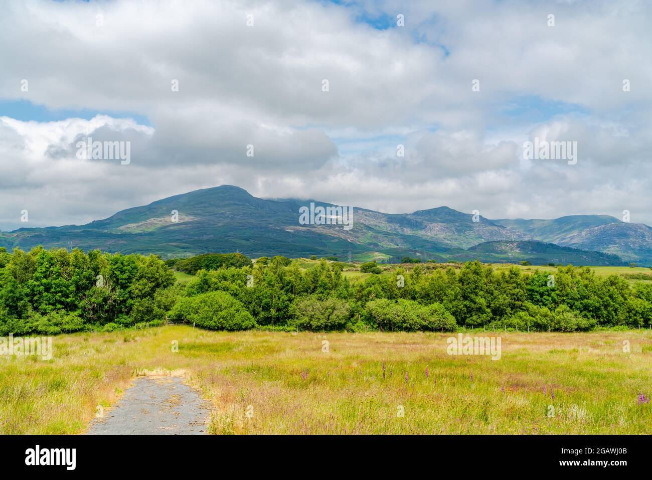 Rural Welsh landscape in Snowdonia region in northwest Wales Stock ...