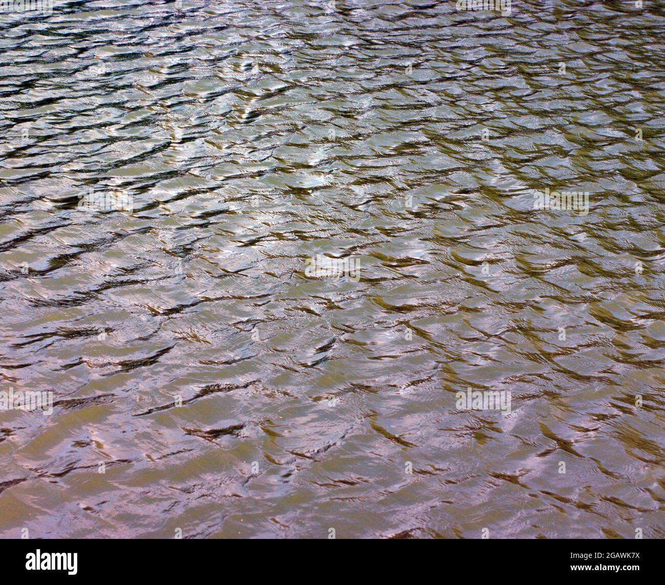 ripple on water in city park pond at dry sunny summer day Stock Photo ...