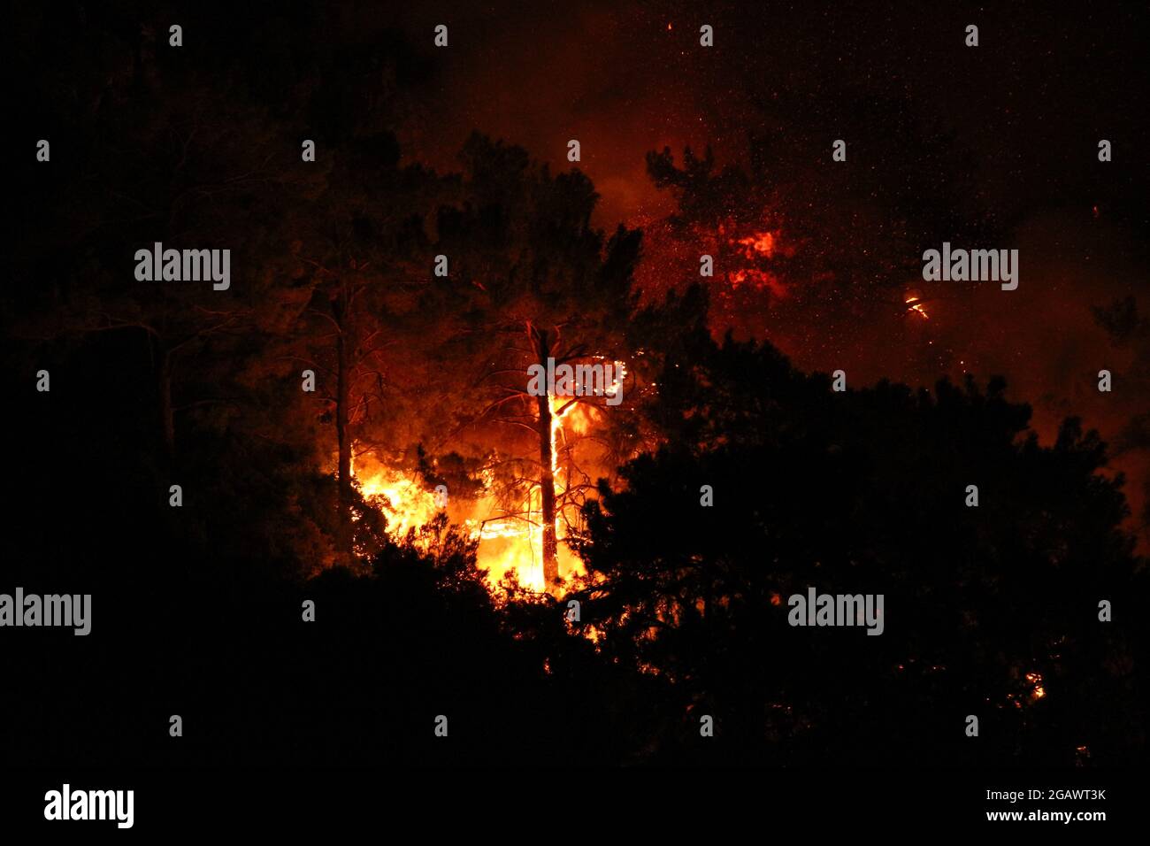 Smoke and flames rise from a forest fire in Marmaris district in Mugla ...
