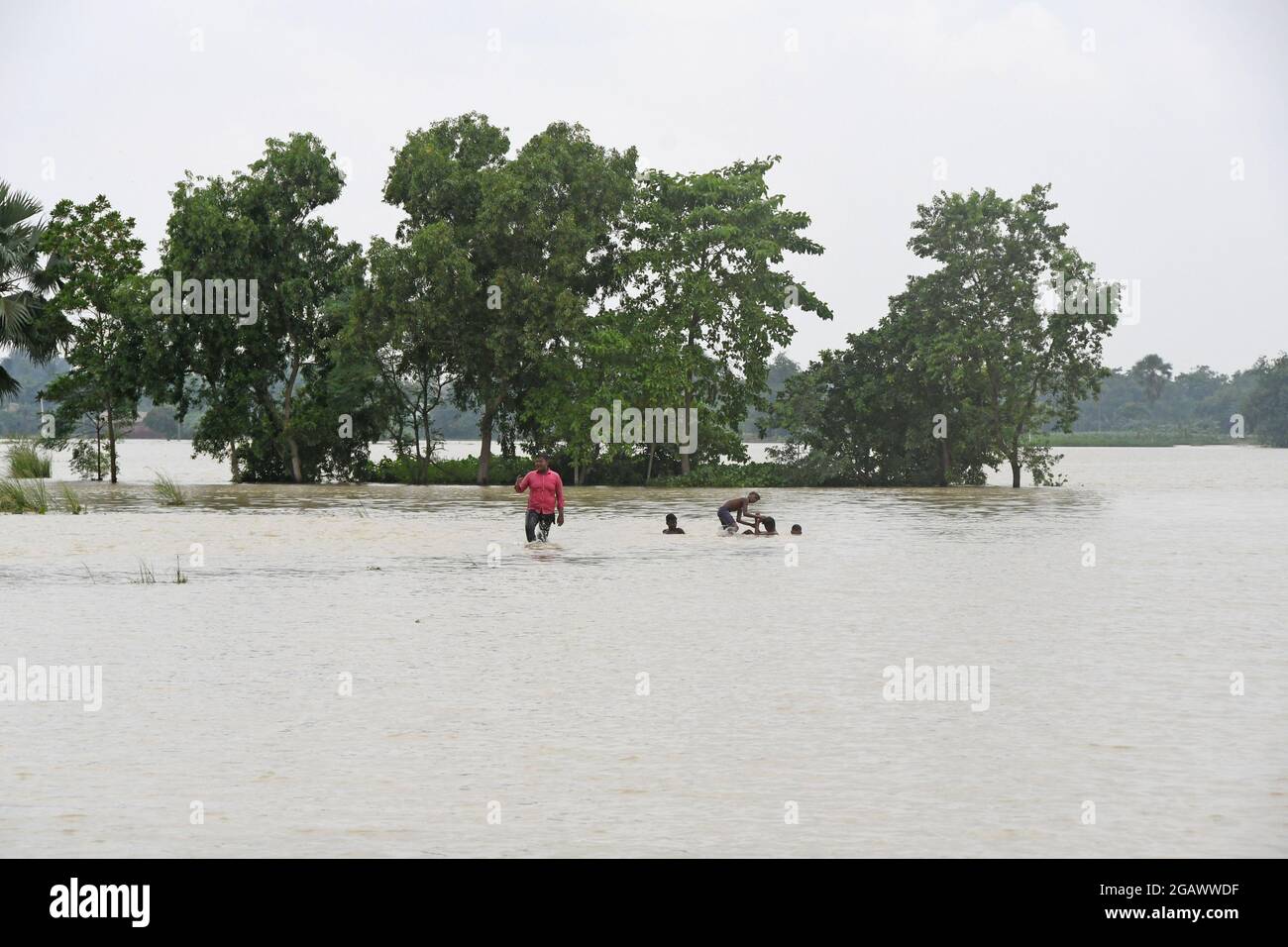 West Bengal / India - 01.08.2021: Agricultural land in several areas of ...
