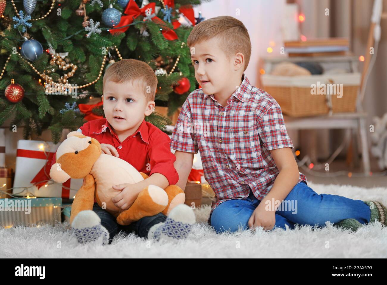 Two cute small brothers with teddy bear on Christmas tree background ...