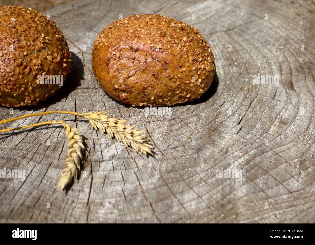 Roll trunk hi-res stock photography and images - Alamy