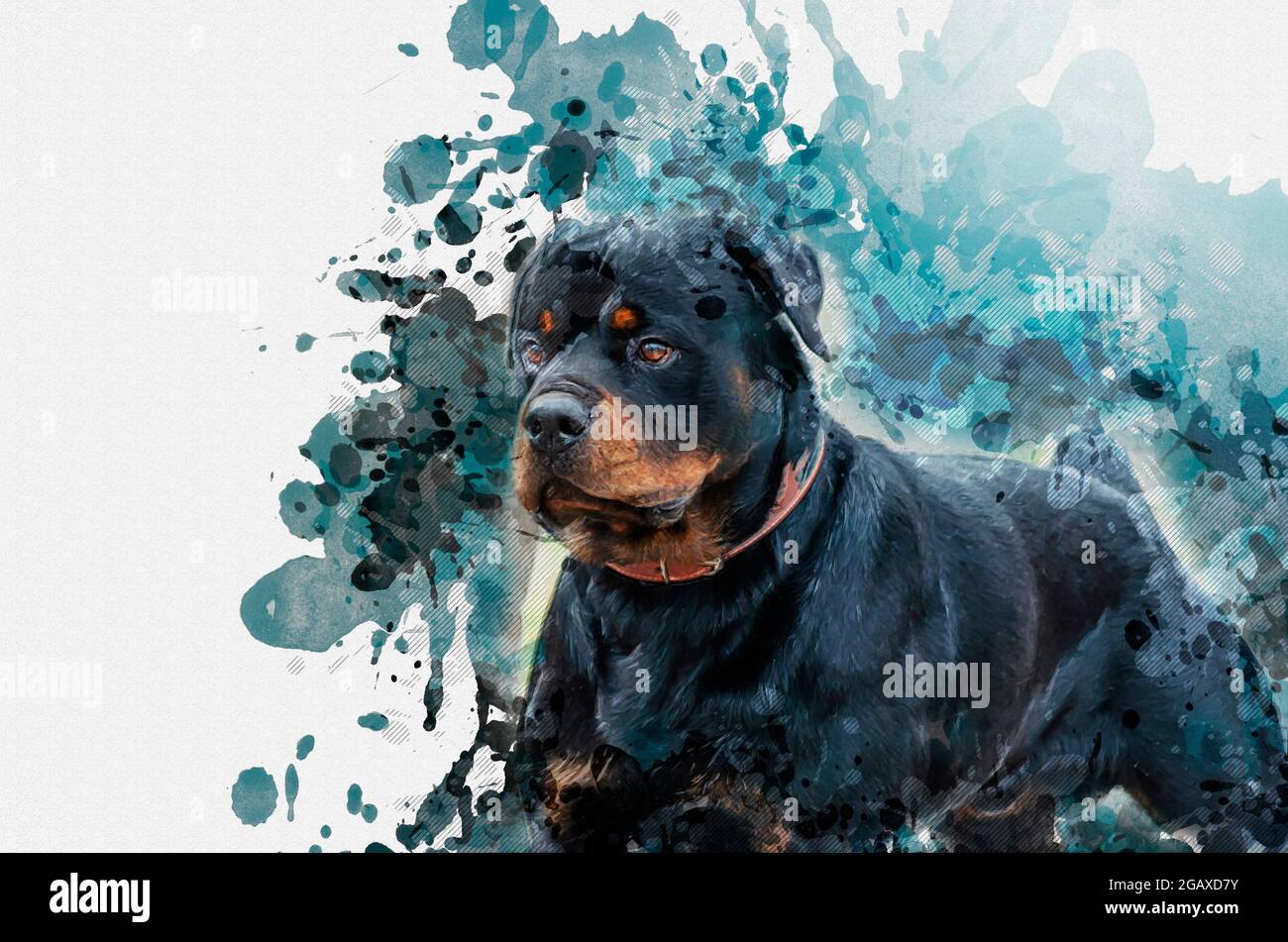 How To Make Your Rottweiler Big And Muscular