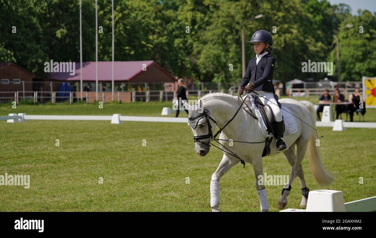 Girl rider white horse in equestrian sport competition. Horse riding on ...