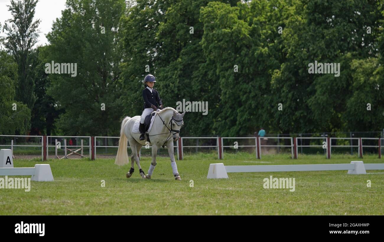 Girl rider white horse in equestrian sport competition. Horse riding on ...