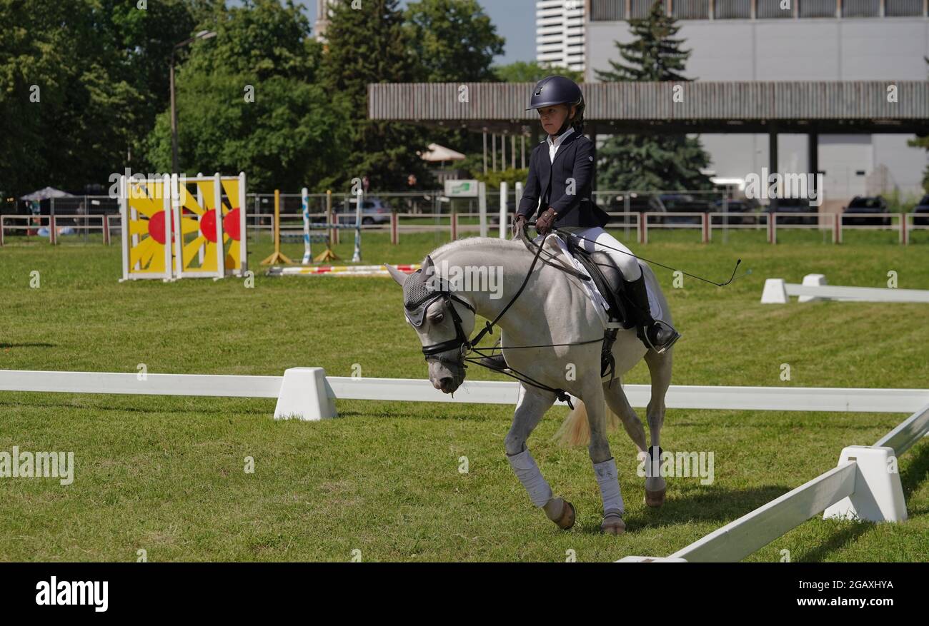Girl rider white horse in equestrian sport competition. Horse riding on ...