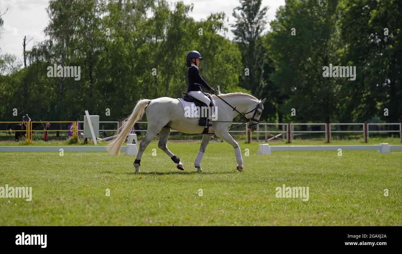 Girl rider white horse in equestrian sport competition. Horse riding on ...