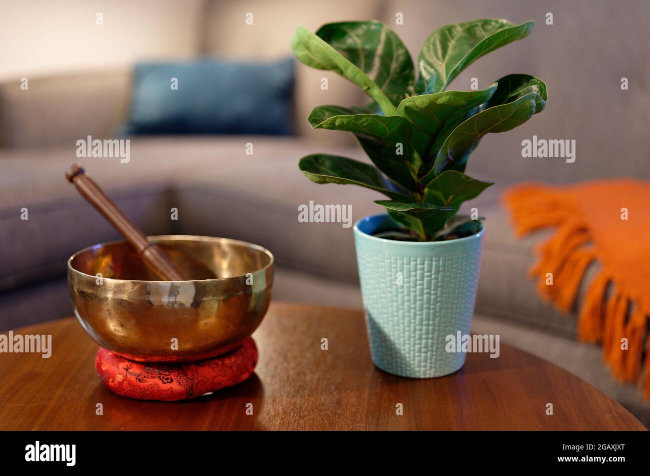 Fiddle leaf fig sitting on table with tibetan singing bowl in den Stock ...