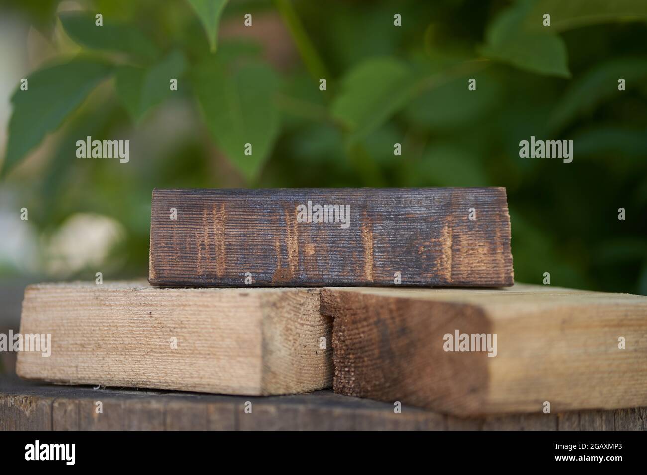 Wooden podium on a green background. Flat square stands or podium for a ...