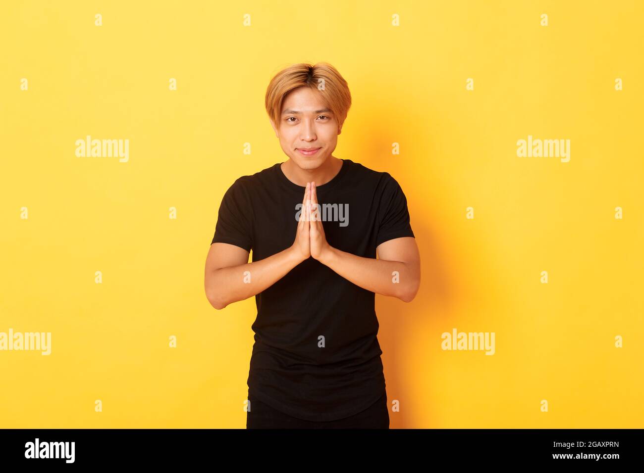 Portrait of friendly and polite asian blond guy, clasp hands together ...