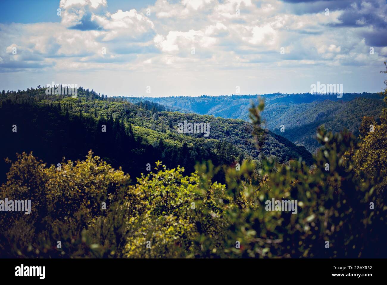 Foresthill Divide Trail Stock Photo - Alamy